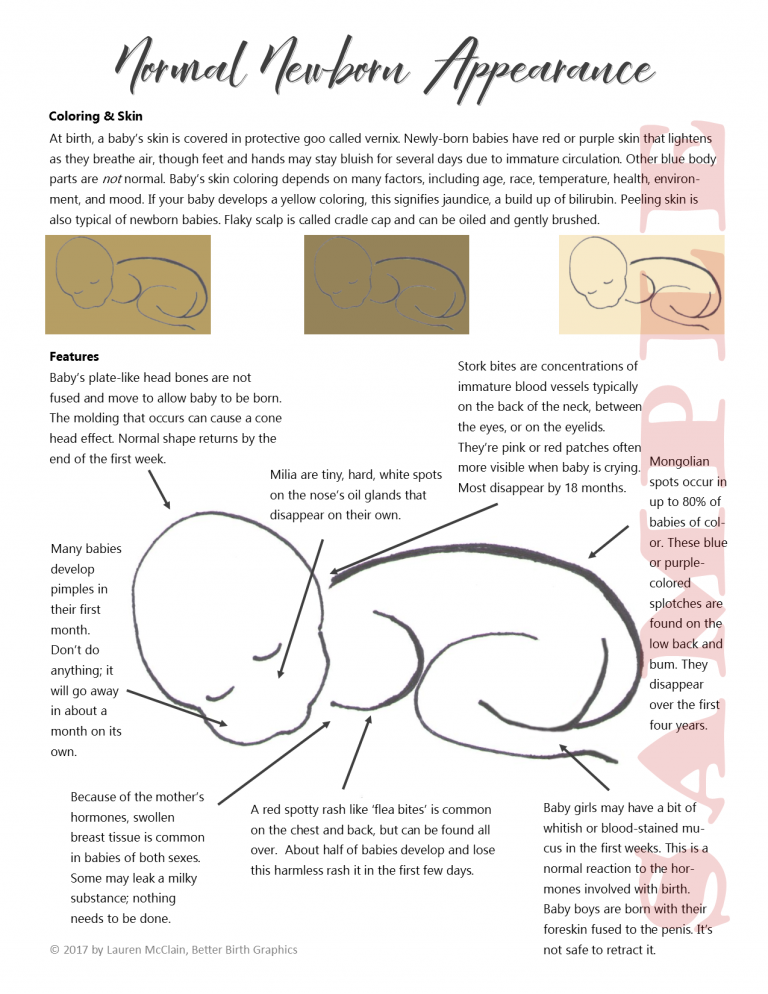 birth handouts from Better Birth Graphics - Better Birth Blog